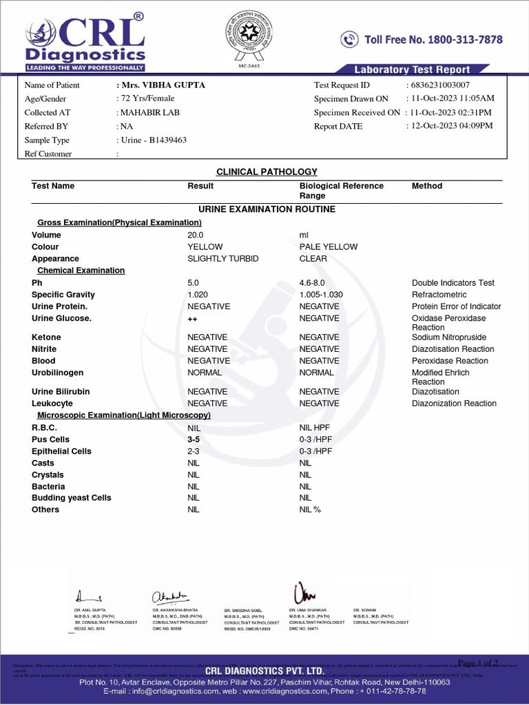 Report Urine | PDF | Urine | Microscopy