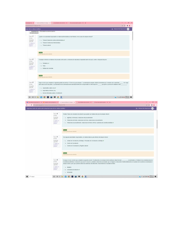 Examen3 Amparo Directo 3 | PDF