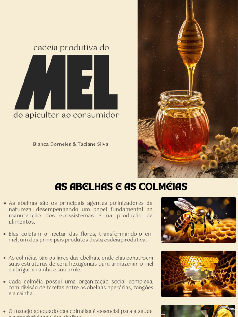 Cadeia Produtiva Do Mel PDF | PDF | Mel | Apicultura