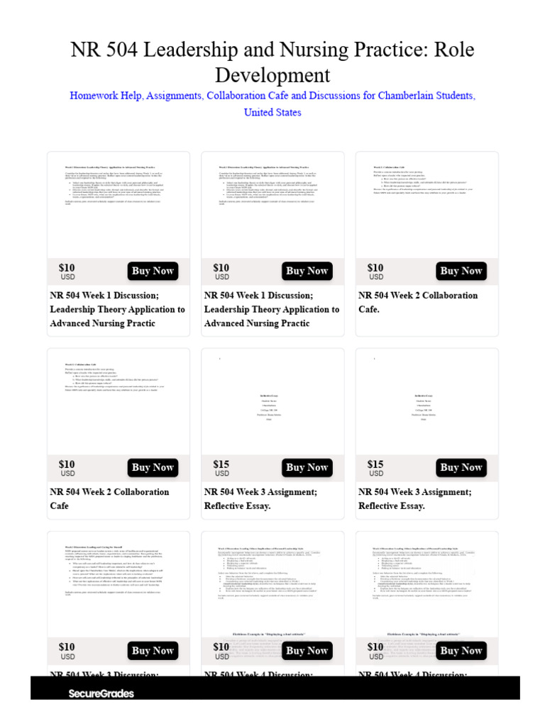 NR 504 Leadership and Nursing Practice; Role Development | PDF