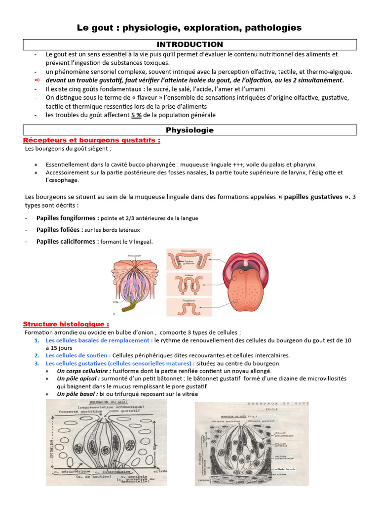 Physiologie de La Gustation | PDF | Goût | Langue