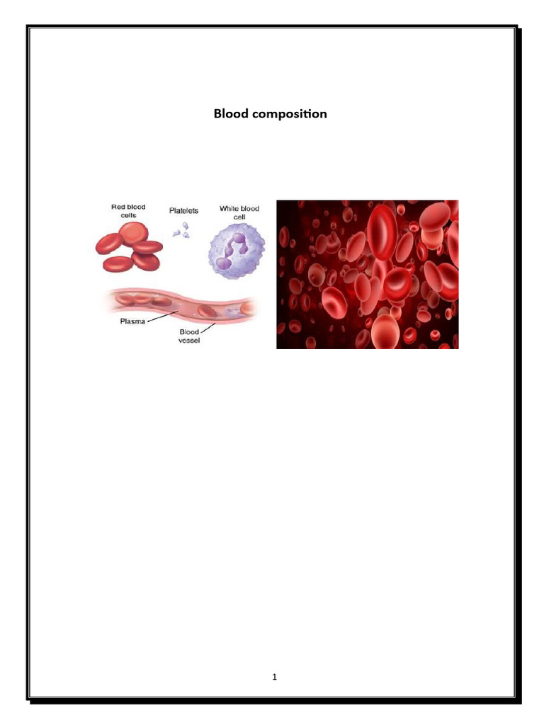 Blood Composition (3) .Docx1.Docx 2 | PDF | White Blood Cell | Granulocyte