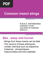 Schmidt Insect Sting Pain Index Chart | PDF