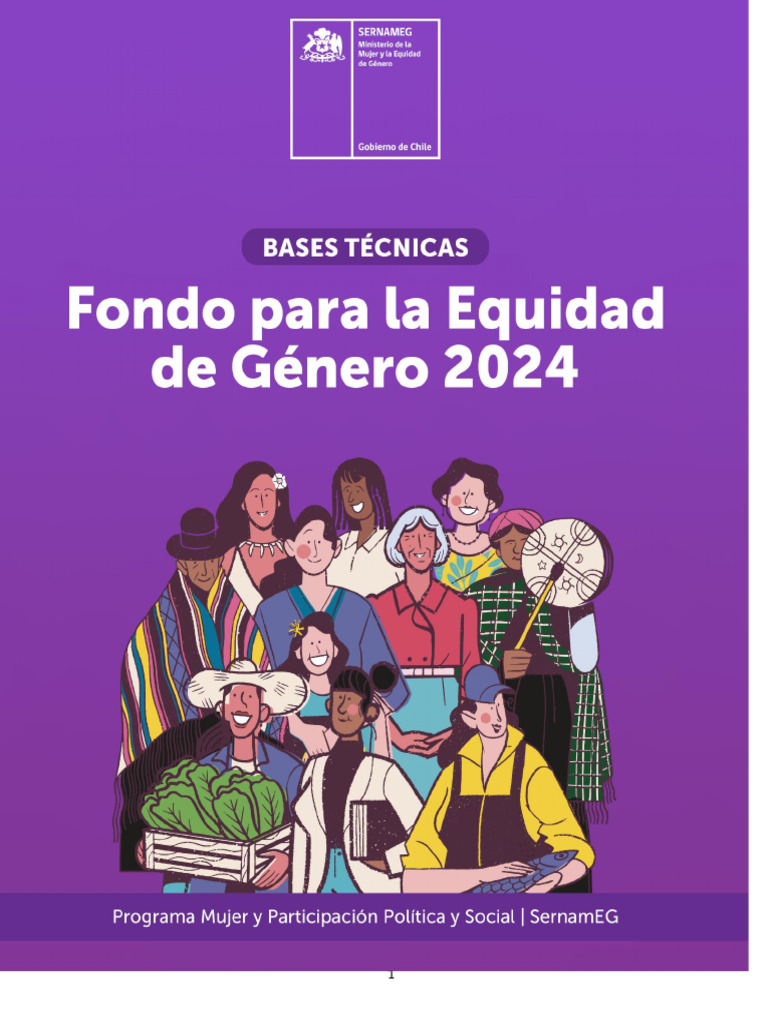 Bases_Tecnicas_FEG_2024 | Descargar gratis PDF | Igualdad de género | Estudios de género