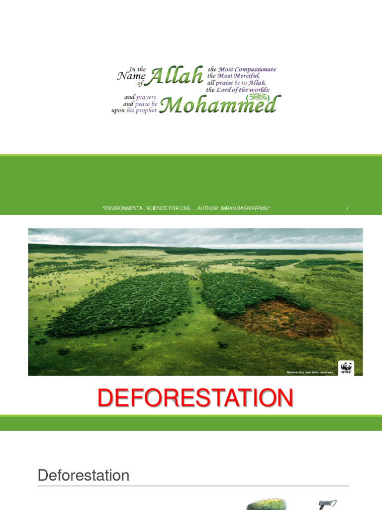 1.8 - Deforestation | PDF | Deforestation | Environmental Science