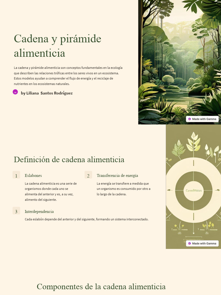 Cadena y Piramide Alimenticia | PDF | Ecología | Ciencias de la Tierra