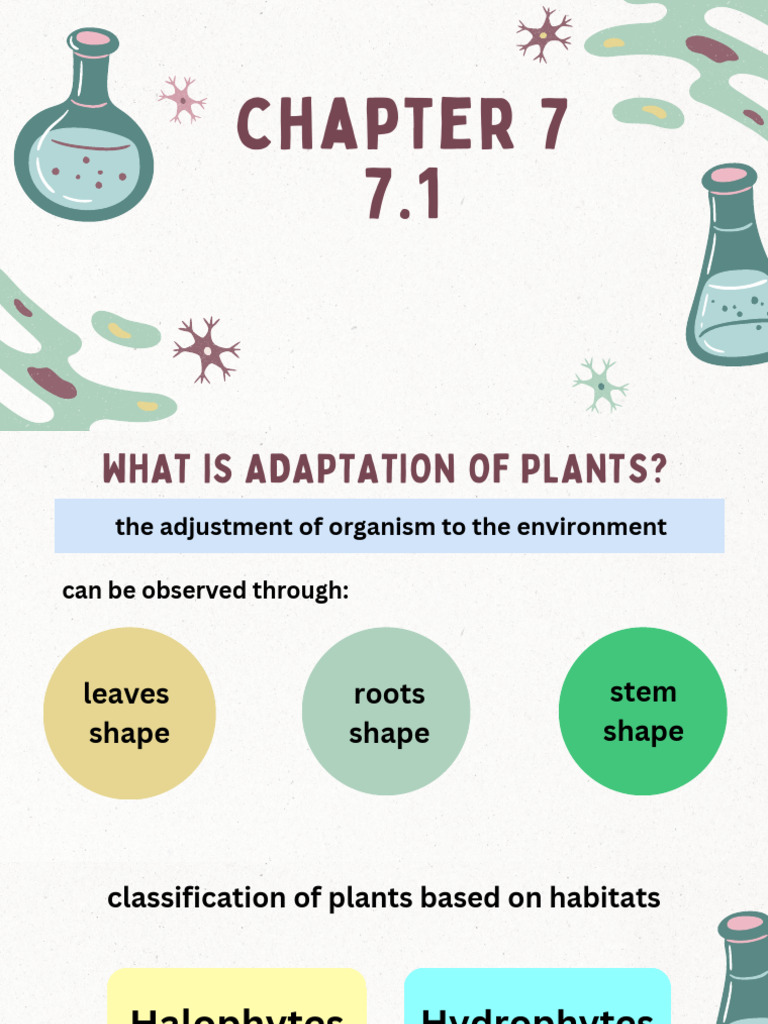 Plant Adaptations to Various Habitats | PDF | Leaf | Plant Stem
