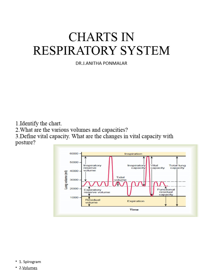 RS CHARTS | Download Free PDF | Respiratory System | Respiratory Tract