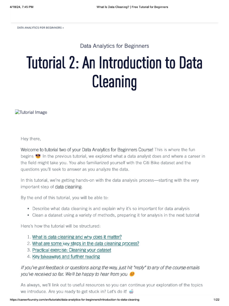 DATA ANALYTICS FOR BEGINNERS Tutorial 2 Introduction to Data Cleaning | PDF