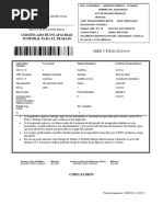 Formato de Incapacidad IMSS Editable | PDF