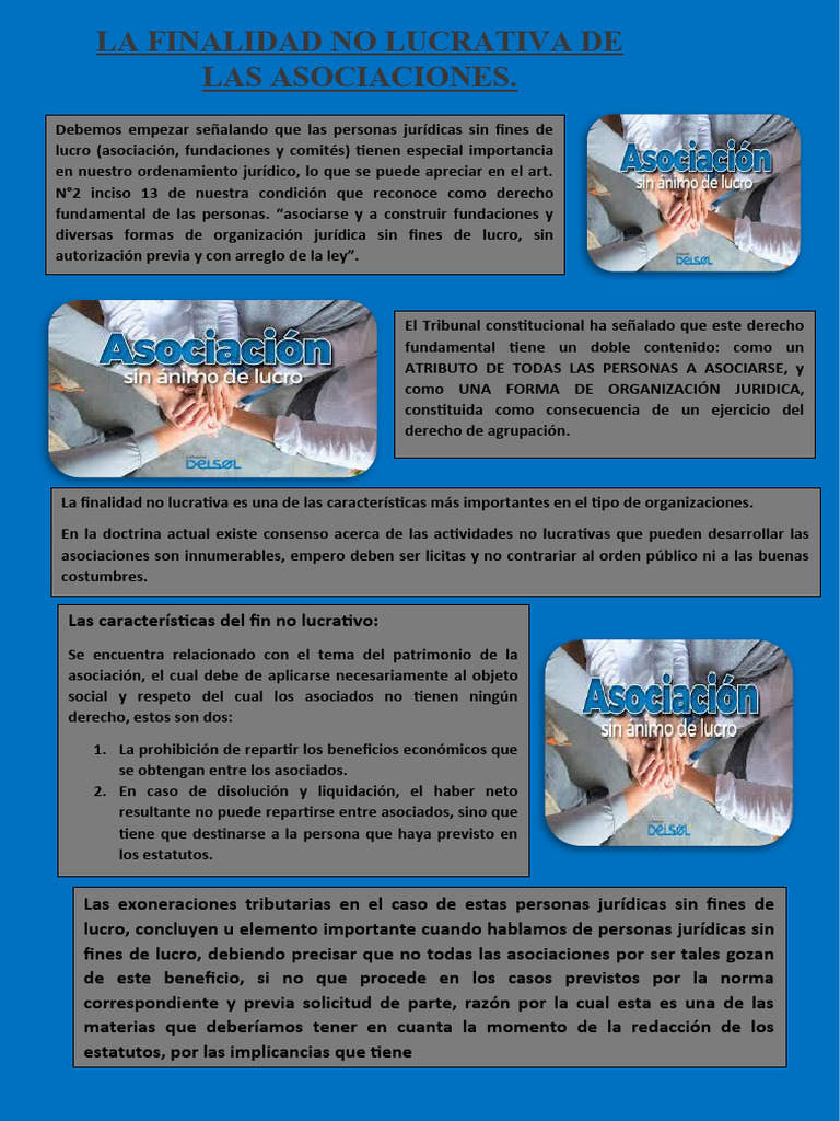 Finalidad No Lucrativa en Asociaciones | PDF | Fundación (sin fines de ...