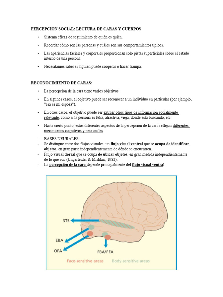 PERCEPCION SOCIAL LECTURA DE CARAS Y CUERPOS | PDF | Las emociones | Percepción