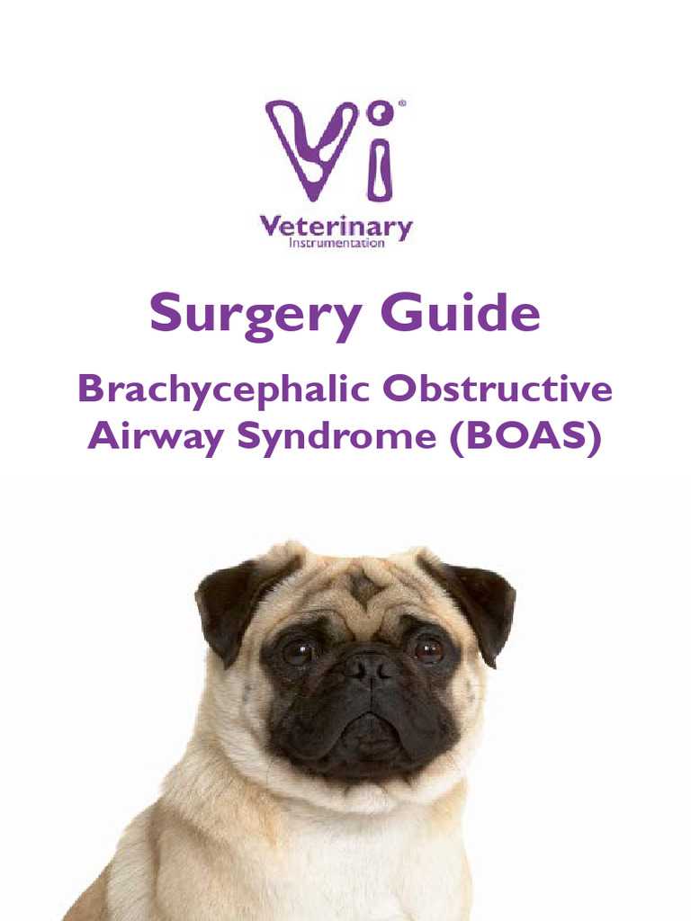 BOAS Surgery Guide - February 2024 Issue 1 DIGITAL | PDF | Clinical ...