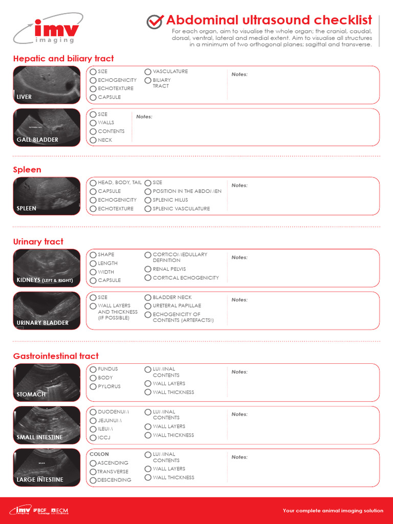 Abdominal Ultrasound Checklist Guide | PDF | Abdomen | Gastrointestinal ...