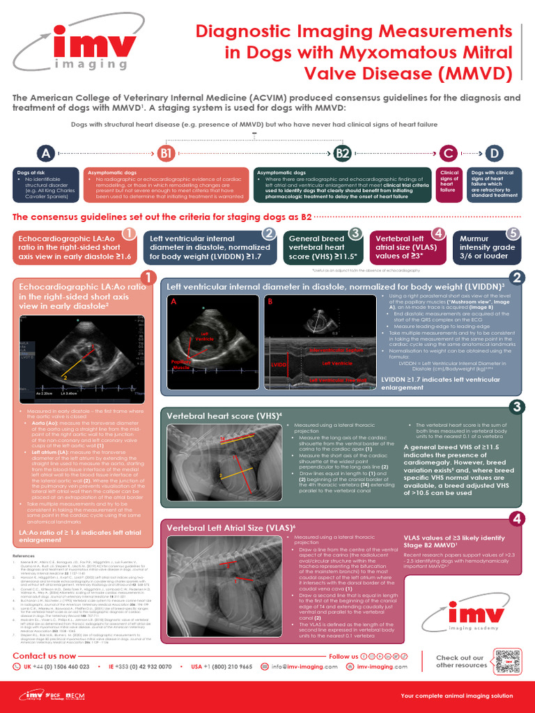 INTCA - PosterA2.Diagnostic Imaging Measurements in Dogs With ...