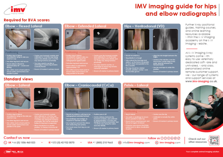 INTCA.PosterA2.IMV Canine Radiograph Hips and elbow.090223 | PDF ...