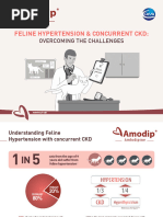 Stadializare IRIS | PDF | Creatinine | Body Fluids