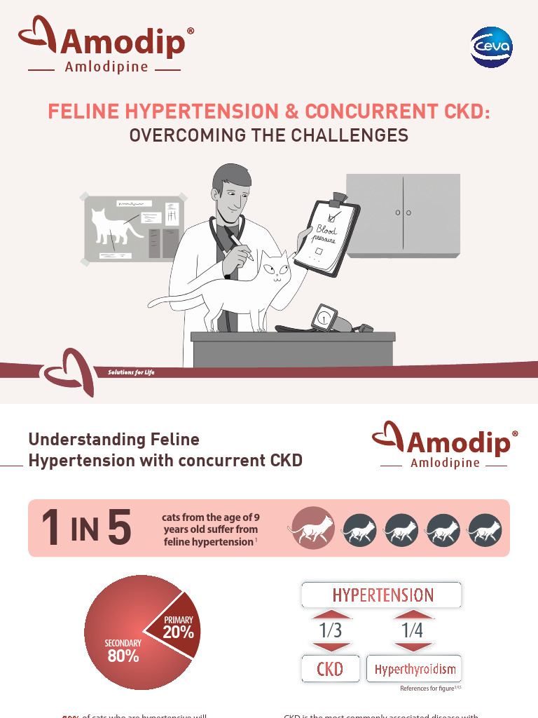 Amodip Guide | PDF | Hypertension | Chronic Kidney Disease