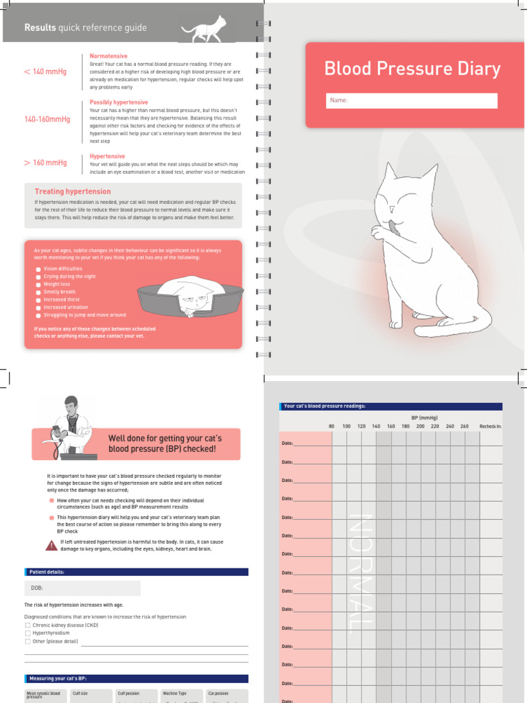 Blood Pressure Diary AMO27 PR | PDF | Hypertension | Blood Pressure