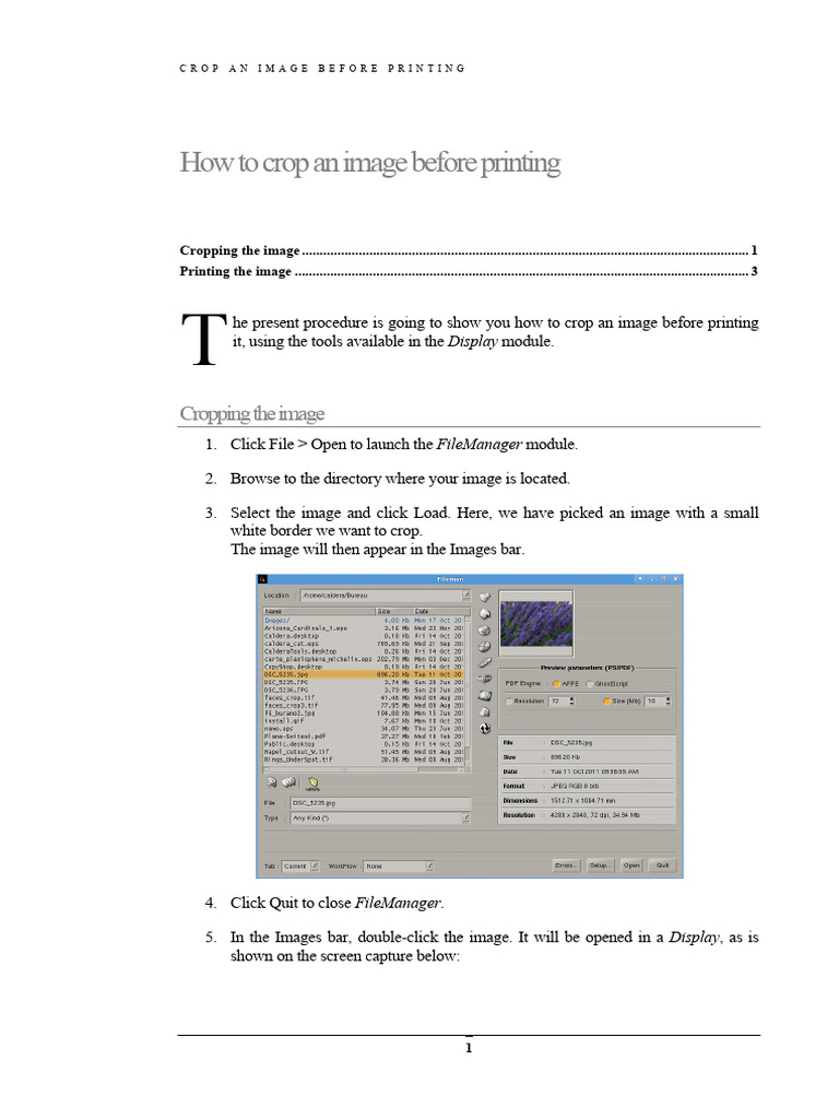 HowTo - Crop An Image Before Printing | PDF | Icon (Computing ...