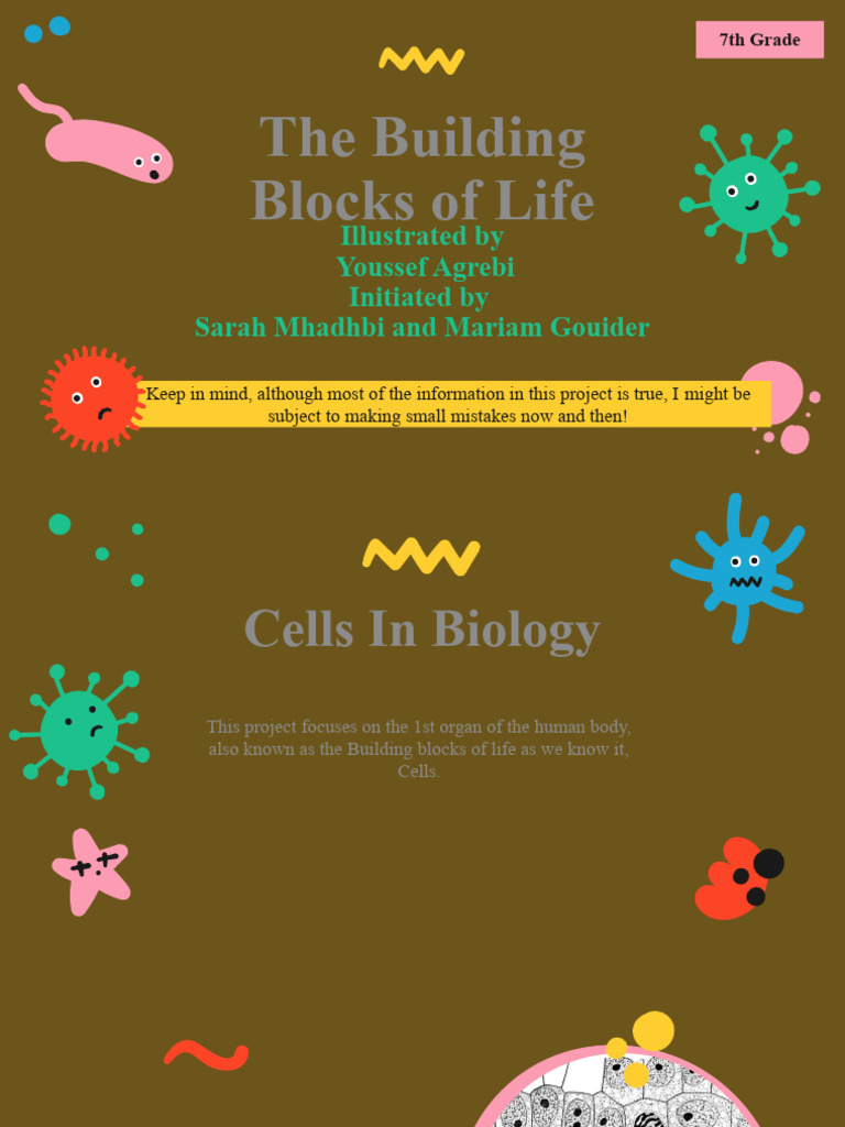 Cell project V2 | PDF | Mitosis | Cell (Biology)