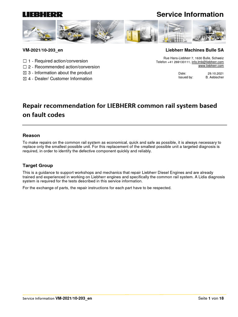 Liebherr Common Rail Repair Guide | PDF | Fuel Injection | Electrical ...