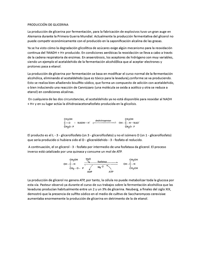 GLICERINA | PDF | Fermentación | Glucólisis