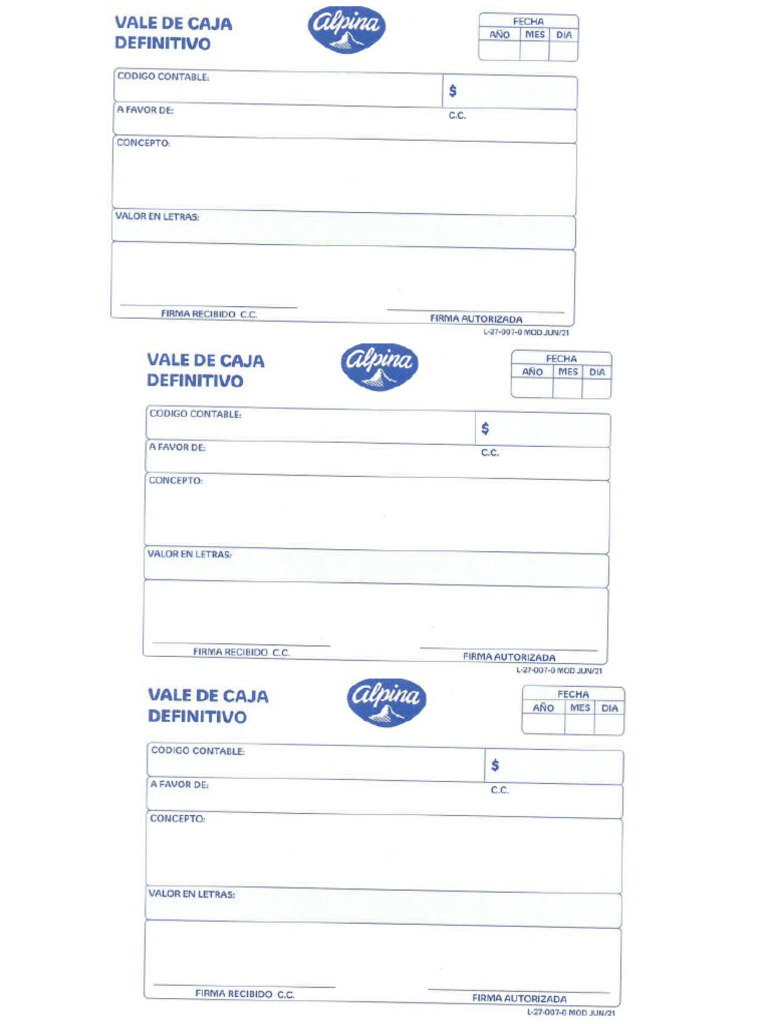 vale de caja | PDF