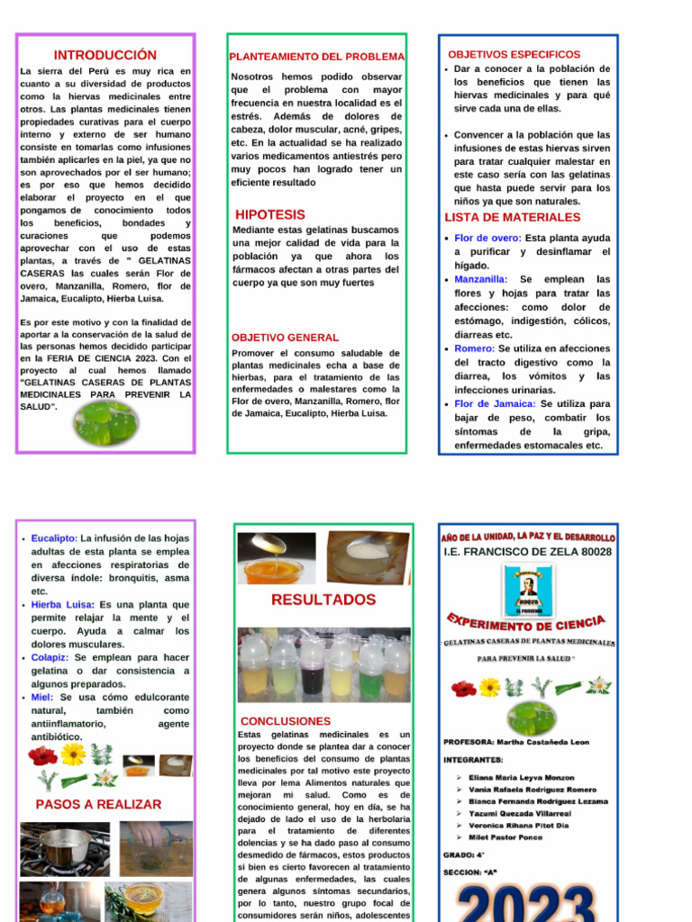 TRIPTICO ORIGINAL | PDF