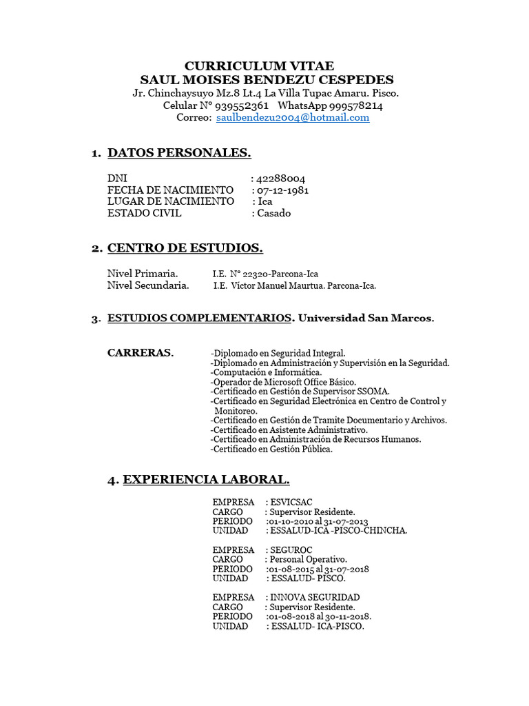 Modelo de CV | PDF | Informática