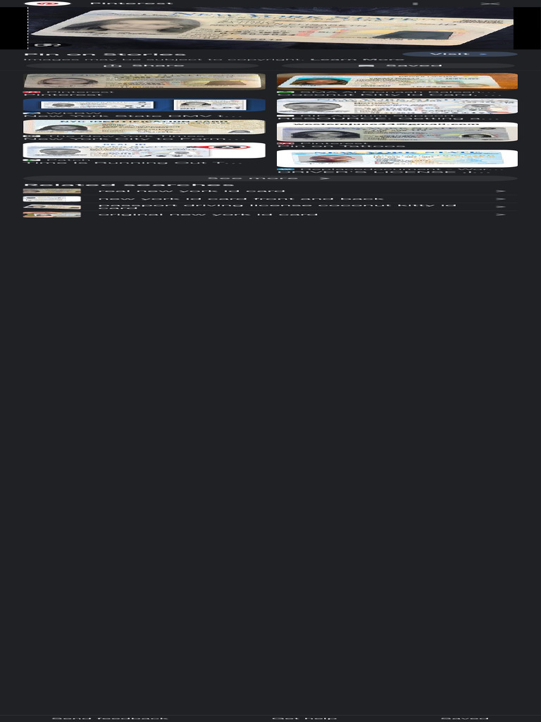 coconut kitty ID card - Google Search | PDF