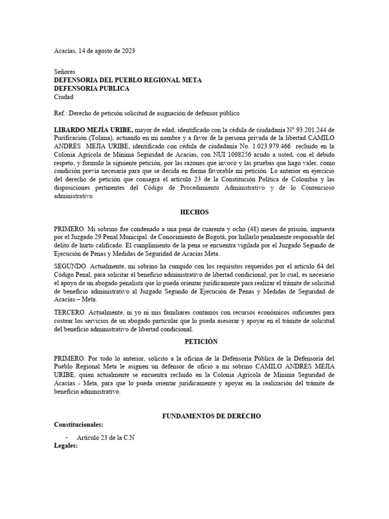 Solicitud de Defensor Público en Meta | PDF | Petición | Defensor público