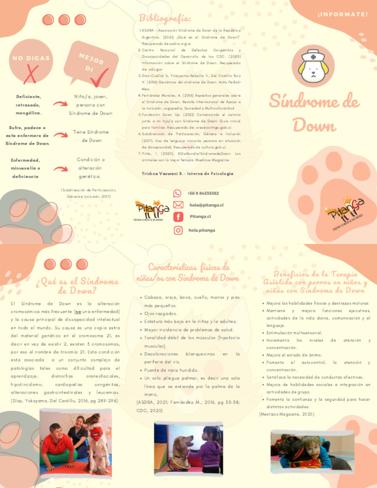 Triptico SD Centro Pitanga Con Modif | PDF | Síndrome de Down | Enfermedades y trastornos