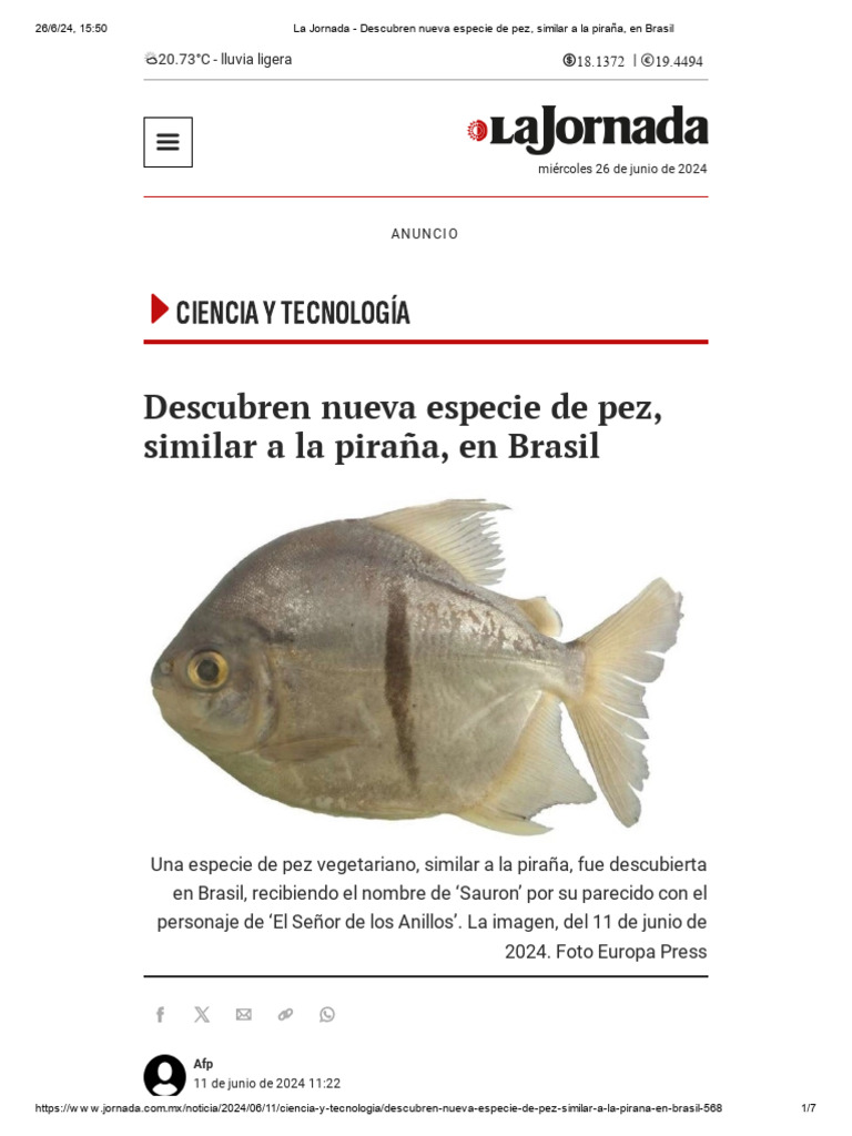 Descubren Nueva Especie de Pez, Similar A La Piraña, en Brasil | PDF ...