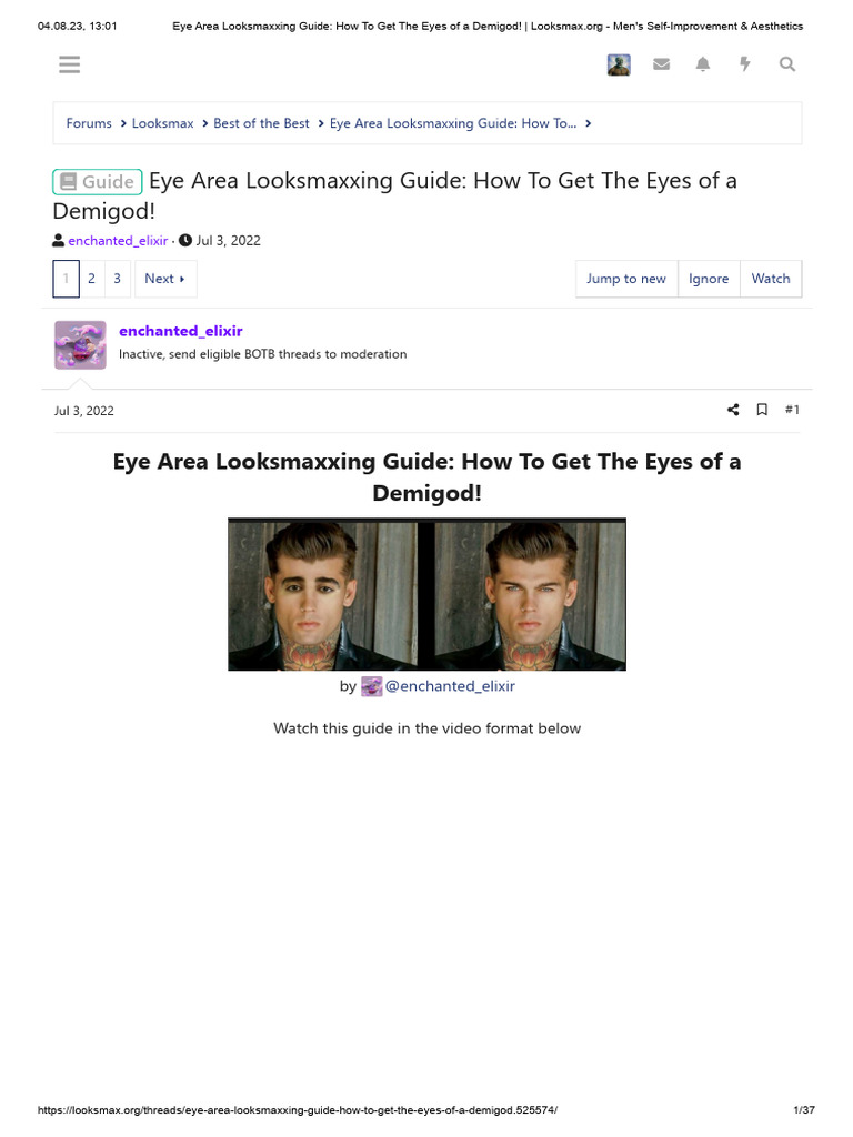 Eye Area Looksmaxxing Guide: Demigod Eyes | PDF | Eye Color