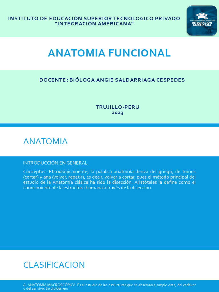 Anatomia Funcional | PDF | Anatomía | Vertebrados