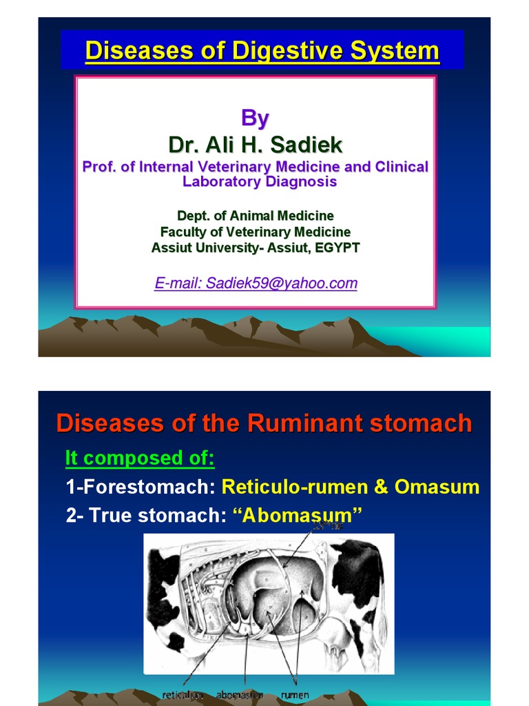 Ruminal Acidosis/Rumen Overload For Vet. Students /ali Sadiek | PDF ...