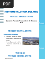 2.0 Descripción Del Proceso Merrill Crowe | PDF | Vacío | Bomba