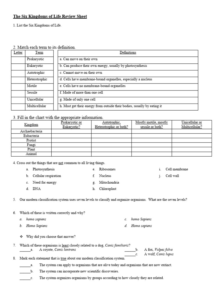 The Six Kingdoms of Life Review Sheet - Reg Ed | PDF | Cell (Biology ...
