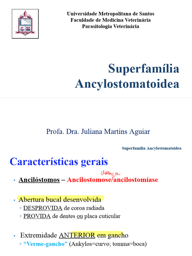 Ancilostomatoidea: Características e Impactos | PDF | Animais e seres ...
