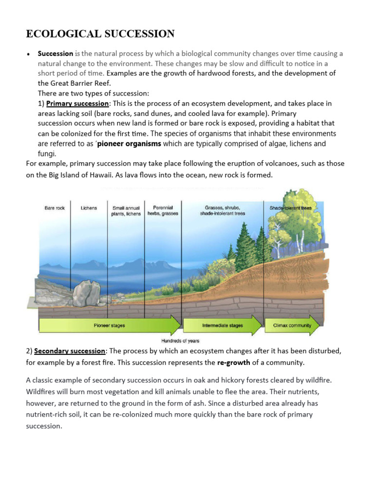 ECOLOGICAL SUCCESSION | PDF | Landscape | Biology