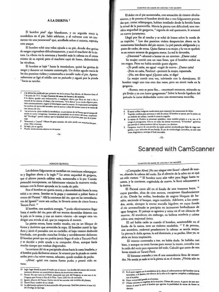 A La Deriva, Horacio Quiroga | PDF