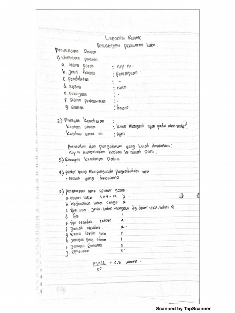 Laporan Resume 2 Novi | PDF