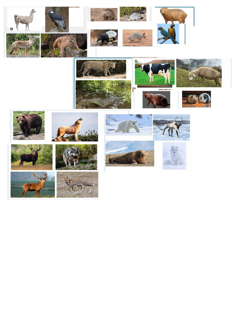 Animales | PDF