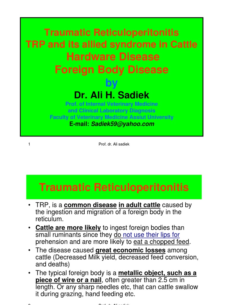 Traumatic Reticuloperitonitis by Ali Sadiek | PDF | Medicine | Diseases ...