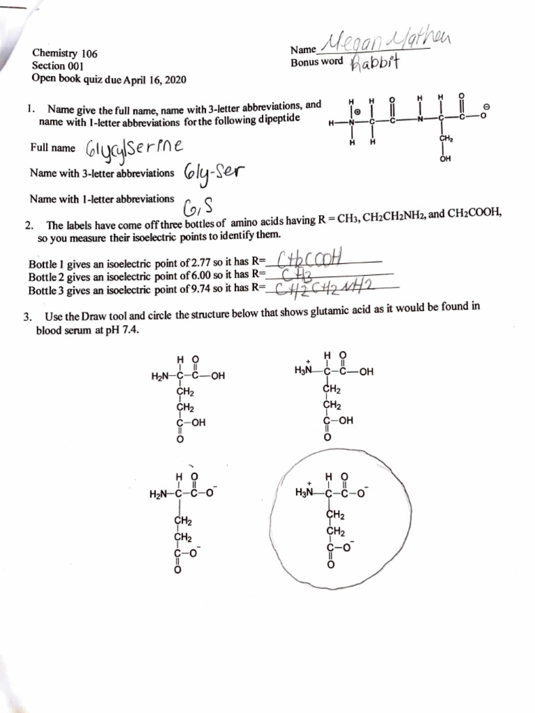 Proteins Quiz | PDF | Macromolecules | Nutrients