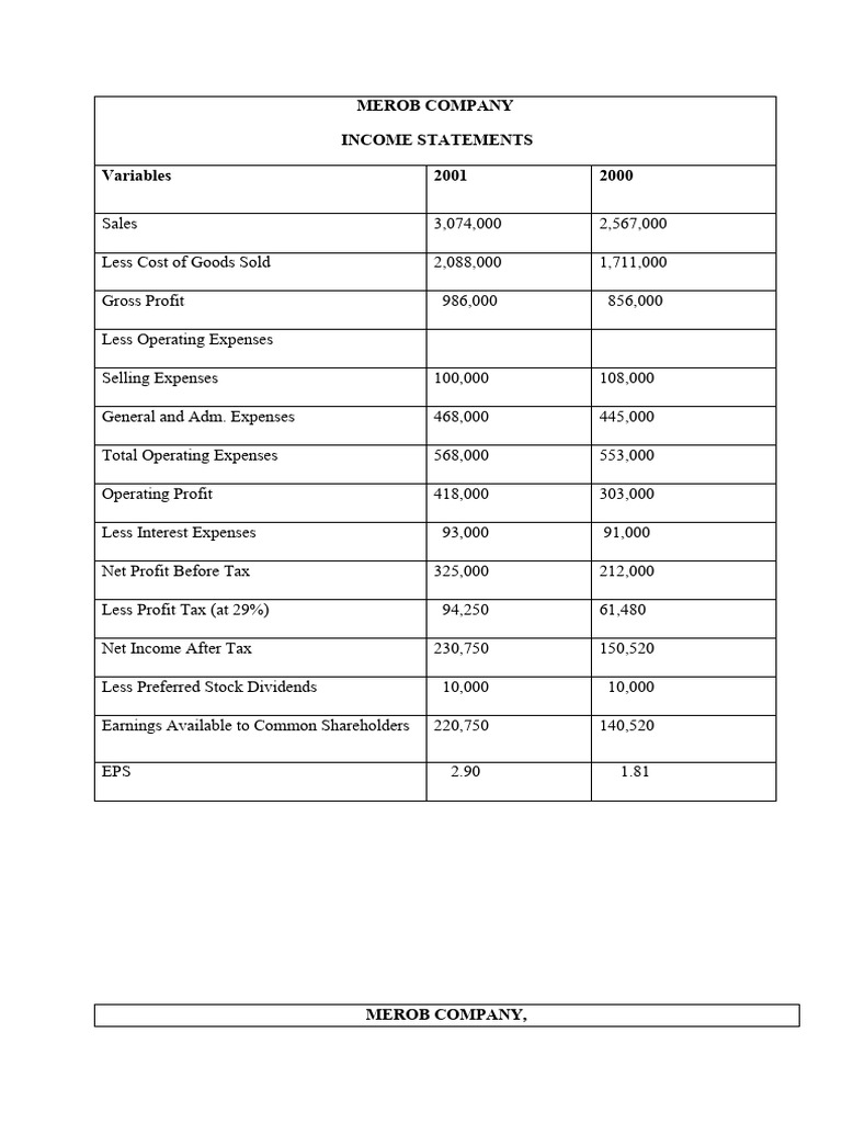 MEROB COMPANY | Download Free PDF | Equity (Finance) | Expense