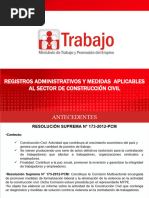 Trámite y obtención del Carnet RETCC | PDF | Documento de identidad