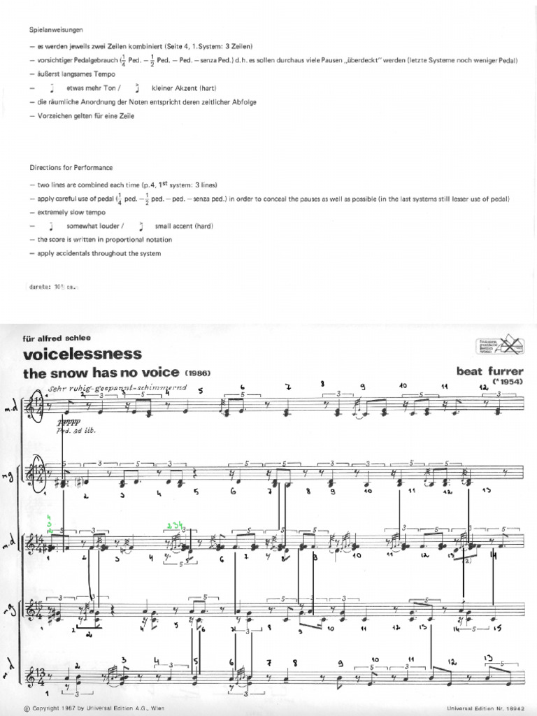 Furrer Voicelessness | PDF