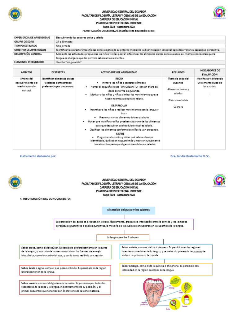 Planificacion 5 | PDF | Gusto